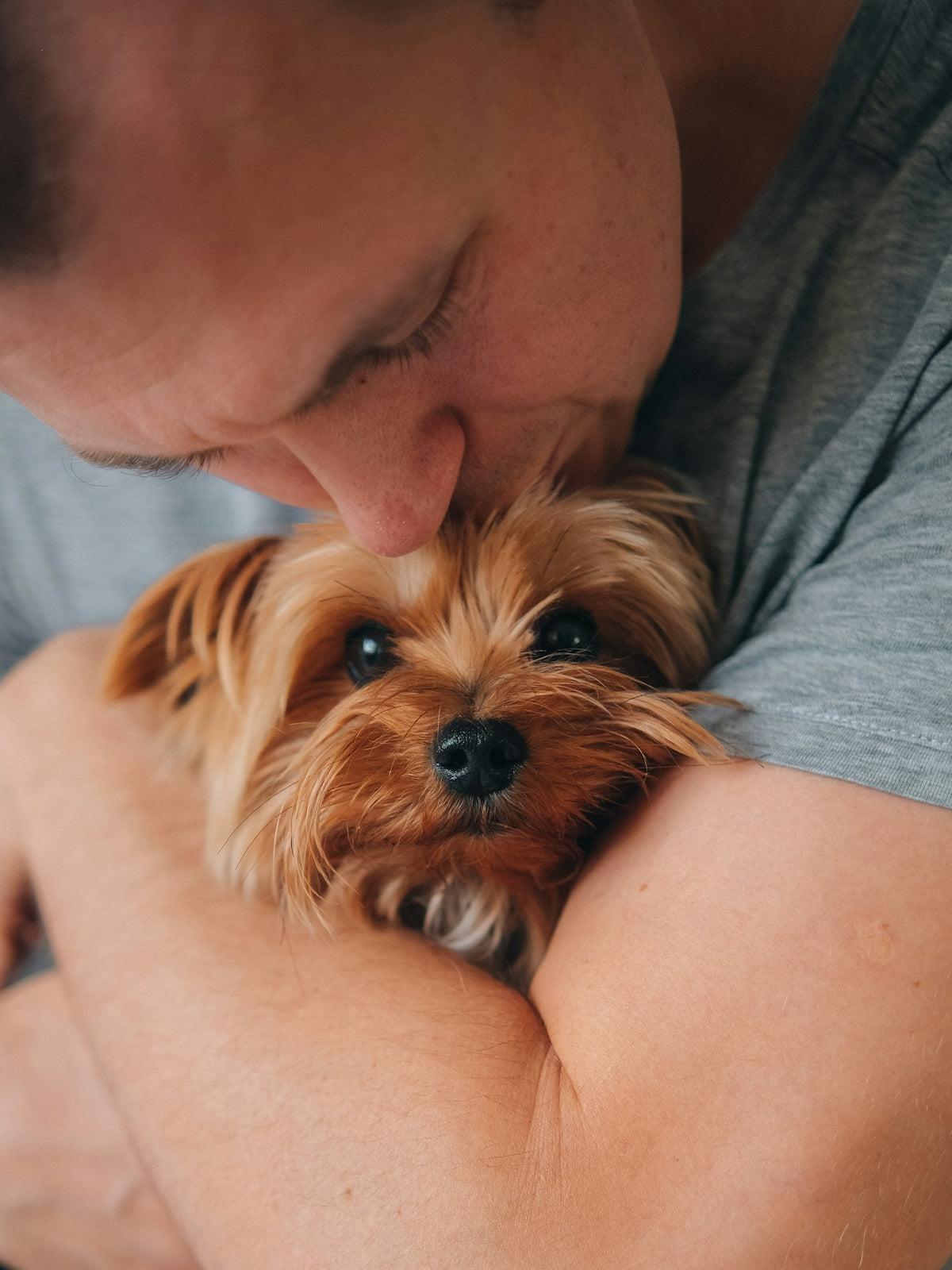 Analyzing Pet Tag Data for Better Lost Pet Recovery Rates – Pets ID Tags